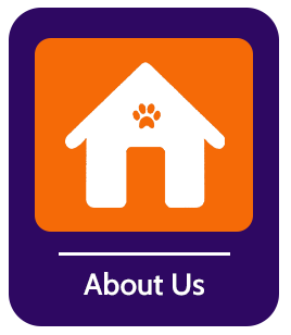 Dog Boarding Kennel - Marble Falls - Woof Pack Lodge