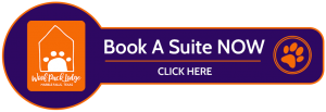 Dog Boarding Kennel - Marble Falls - Woof Pack Lodge