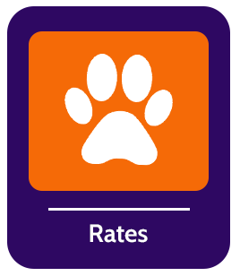 Dog Boarding Kennel - Marble Falls - Woof Pack Lodge